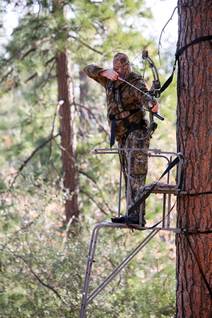 Tree Stand Safety | LIFE & LAND